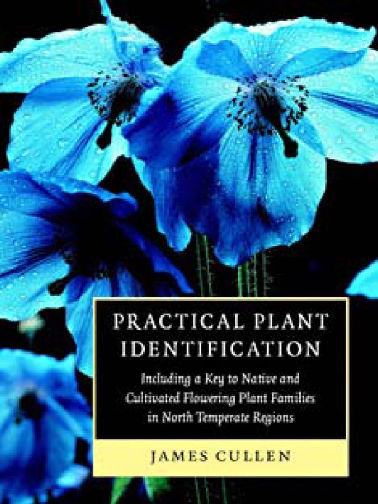 Practical Plant Identification | PDF | Plant Morphology | Plants