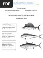 Pakol Fish: Characteristics and Habitat | PDF