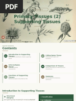 Supporting Tissues in Plants Explained | PDF | Tissue (Biology) | Plant ...