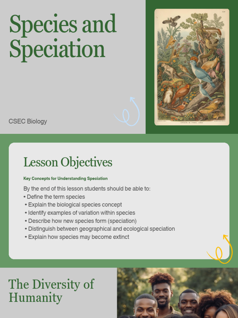 Biology Lesson- Species and Speciation | PDF | Species | Genetic Diversity