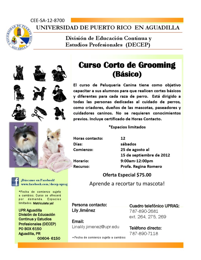 Grooming | PDF