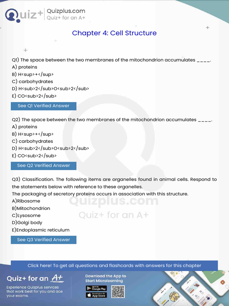 The Space Between the Two Membranes of the Mitochondrion Accumulates ...