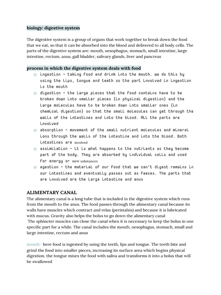 Biology_ Digestive System | PDF | Digestion | Stomach