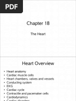 Heart Anatomy | PDF