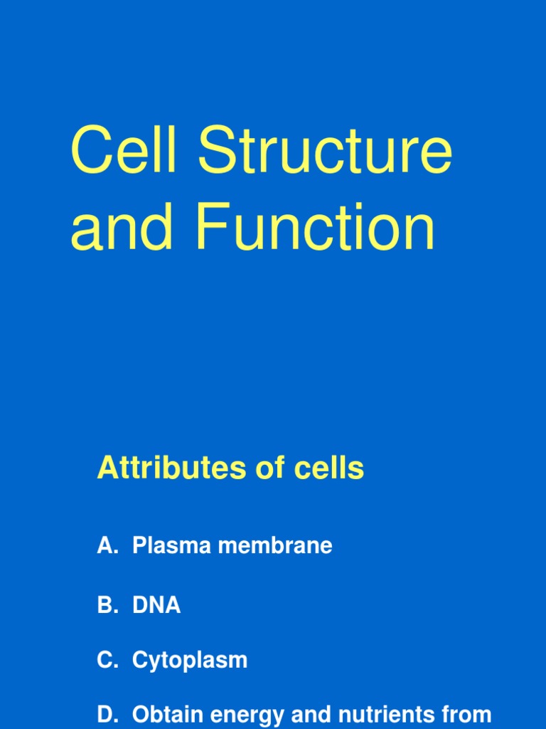 Cell Structure Function | PDF | Cell Nucleus | Cell (Biology)