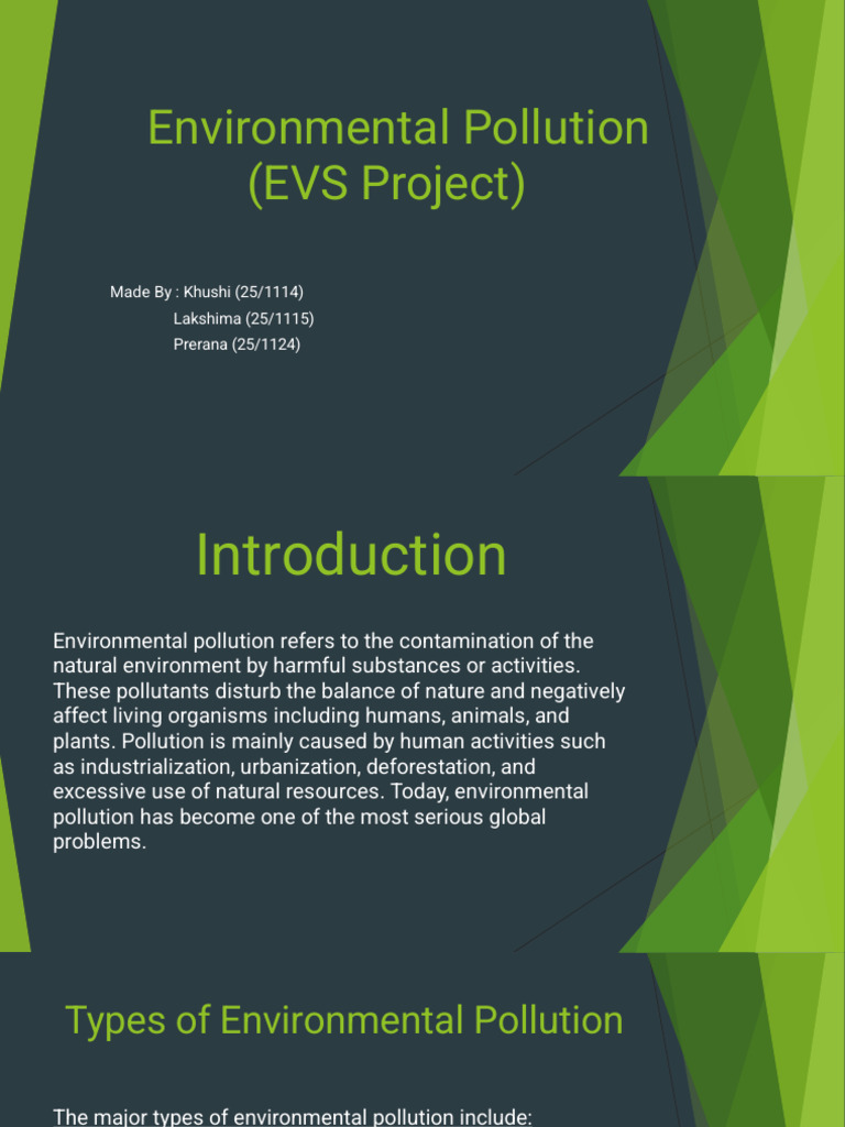 Environmental Pollution Project | PDF | Air Pollution | Pollution