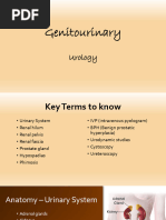 Urology Medical Terminology Guide | PDF | Urinary System | Kidney