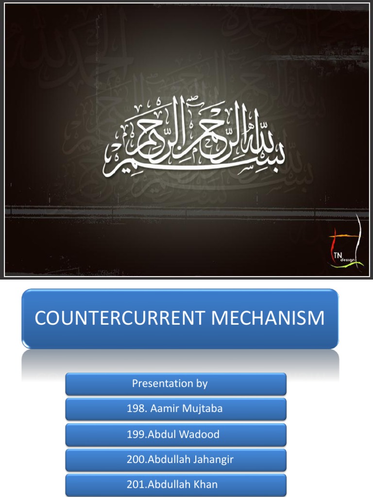 Counter Current Mechanism | Download Free PDF | Kidney | Anatomy