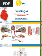 Cálculo de Presión Arterial Media (PAM) | PDF | Ciencia y matemáticas