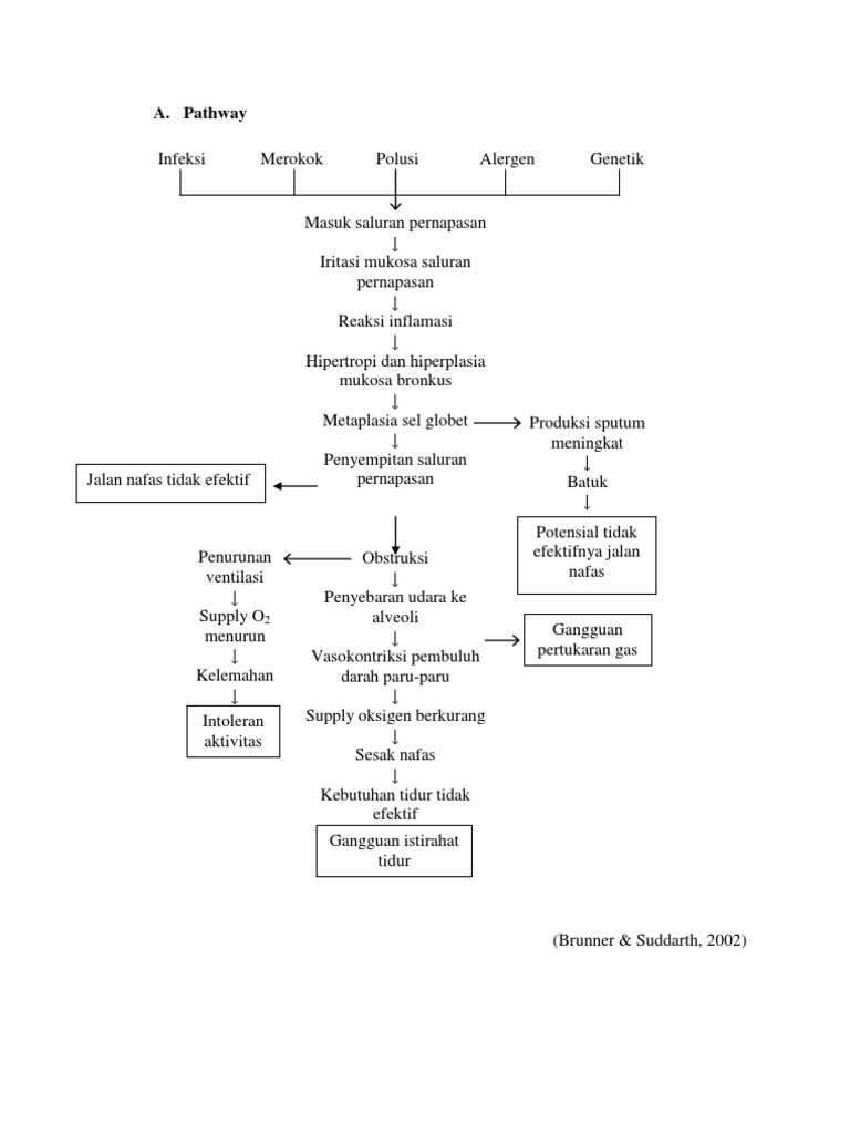 Pathway Asma Bronkhial | PDF | Sains & Matematika
