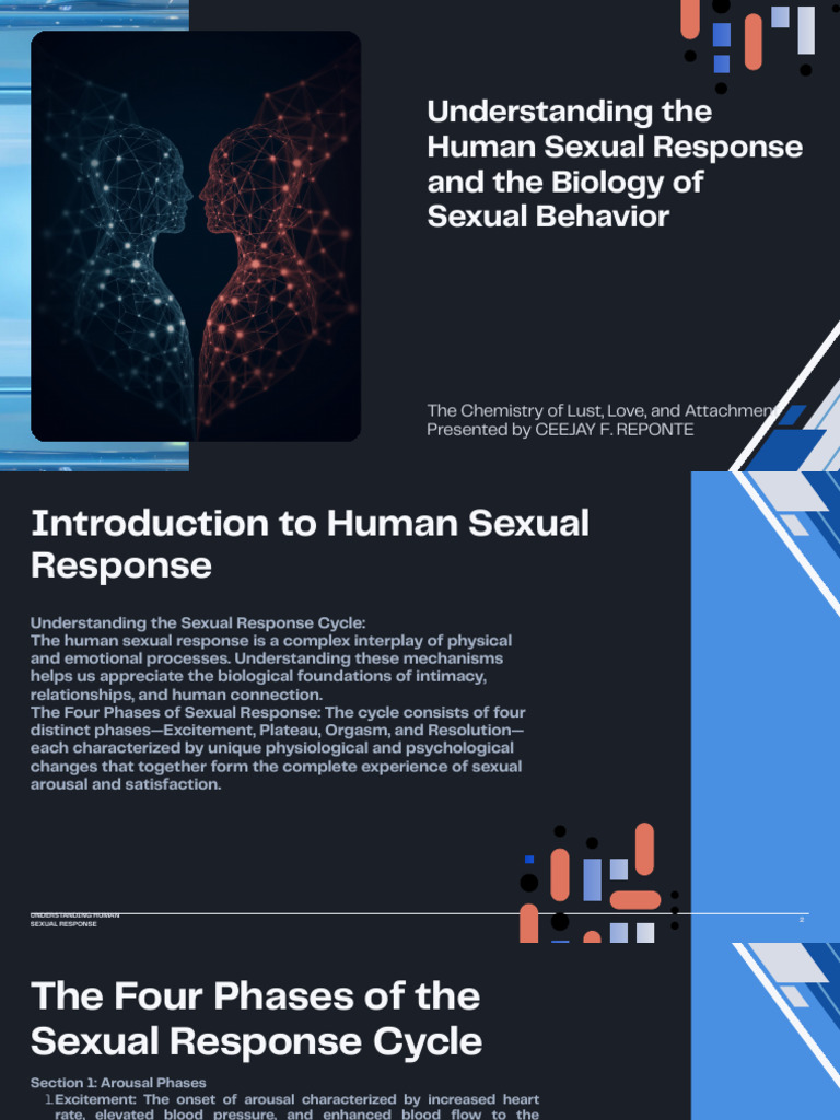 Understanding The Human Sexual Response Pdf Sexual Arousal Human 6648