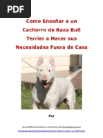 Morfología del perro: Graioides y Occipucio | PDF | Diente | Pastor alemán