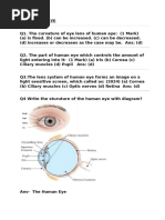 Common Ophthalmic Terminology Glossary | PDF | Eye | Human Eye