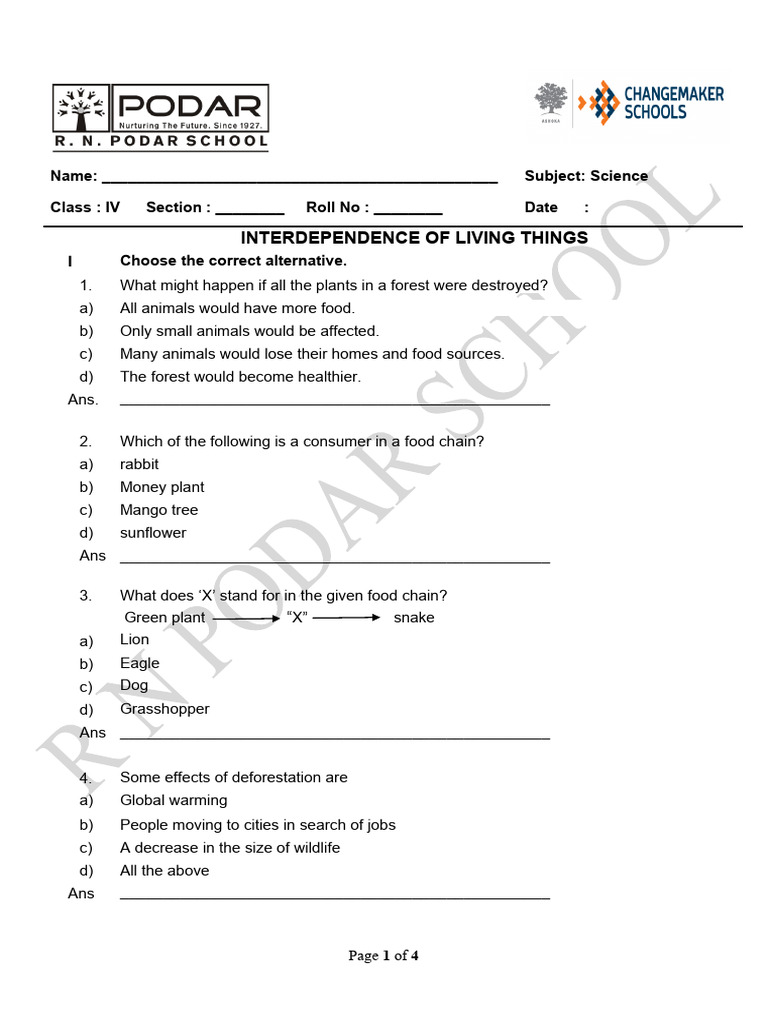 Interdependence in Living Things Worksheet | PDF | Foods | Pollination