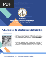 Modelo de Adaptación de Callista Roy | PDF | Comportamiento | Enfermería
