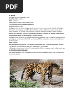 Pez rosado con manos: características y hábitat | PDF | Pescado | Zoología