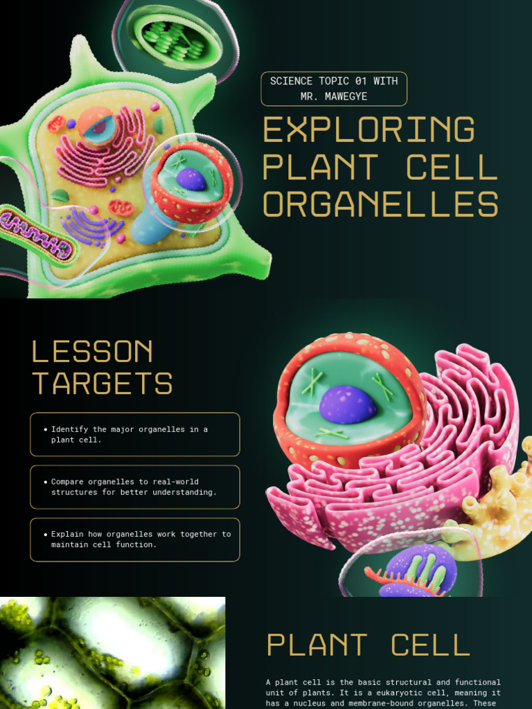 Plant Cell Organelles NGSS Educational Presentation in Black and Yellow ...