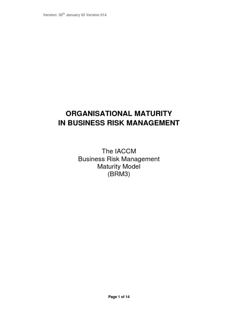 Assessing Organizational Maturity in Business Risk Management: The ...