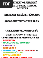 Extraoral Anatomical Landmarks Guide | PDF | Skull | Human Head And Neck