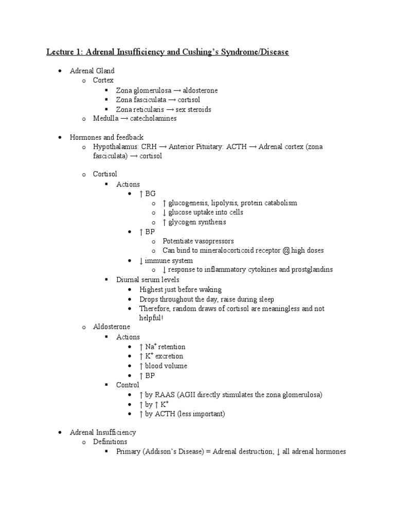 Endo Study Guide | PDF | Adrenal Gland | Cortisol