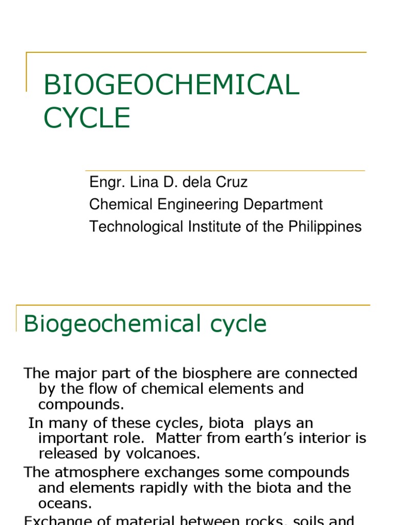 Biogeochemical Cycle Definition Types And Importance Nitrogen Cycle