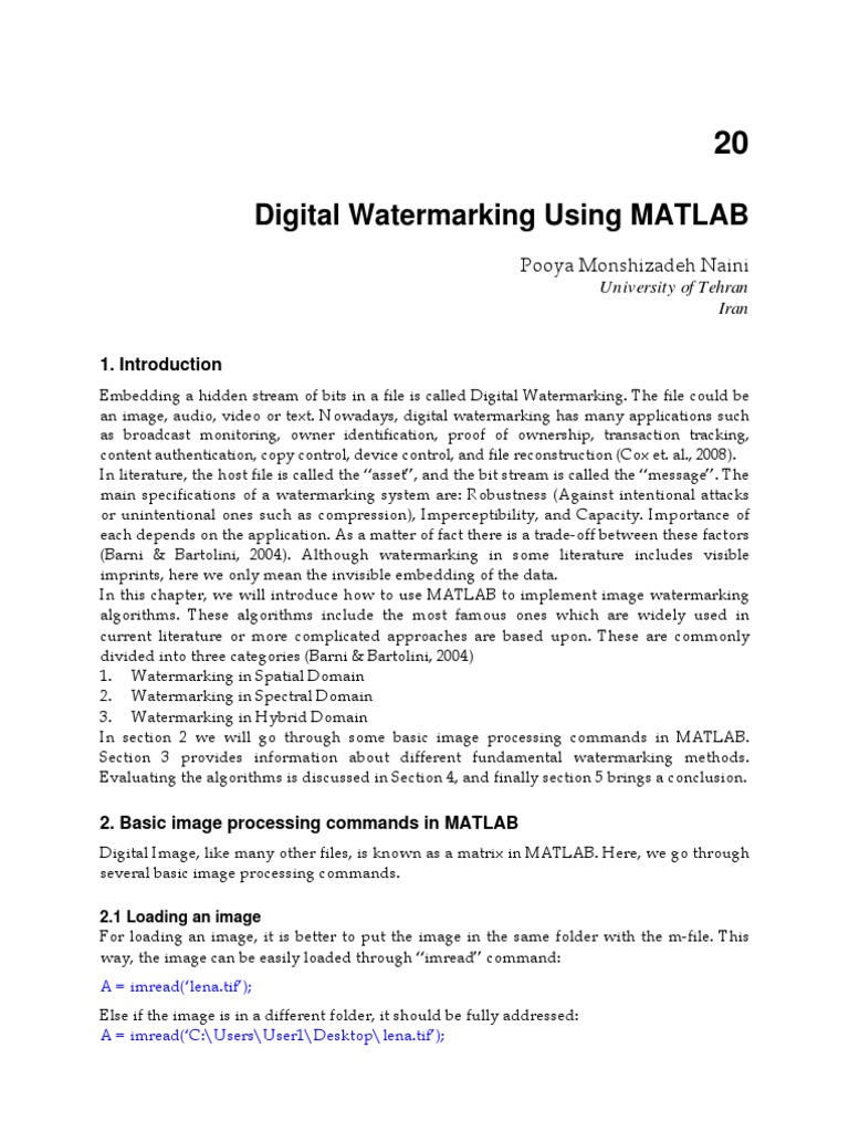 MATLAB Digital Watermarking Guide | PDF