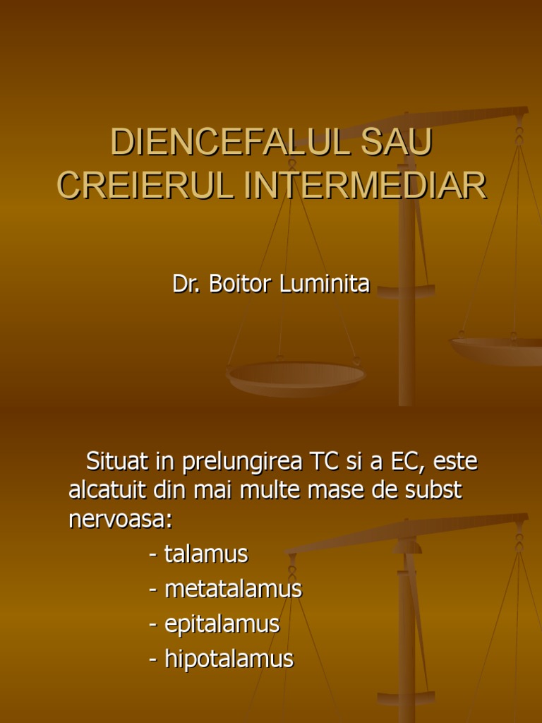 Diencefalul Sau Creierul Intermediar | PDF