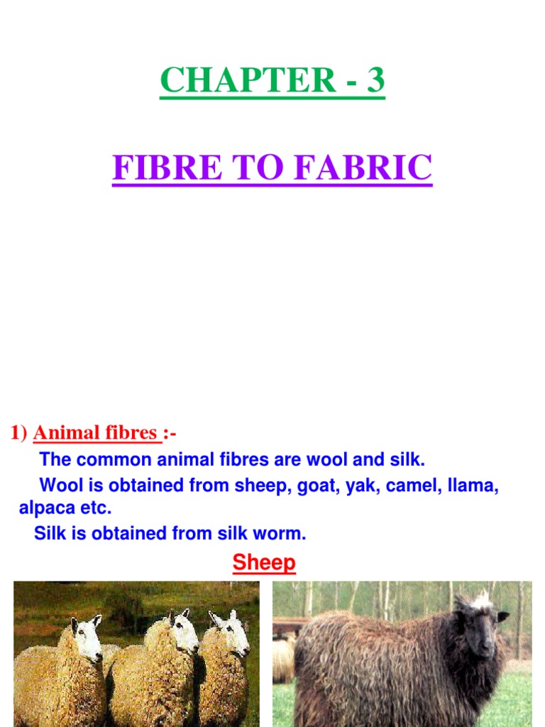 Chapter - 3: Fibre To Fabric | PDF | Silk | Wool