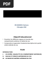Anatomie du Muscle Sterno-Cléido-Mastoïdien | PDF | Cou | Artère ...