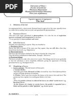 Leaf and Leaflet Morphology Guide | PDF | Leaf | Branches Of Botany