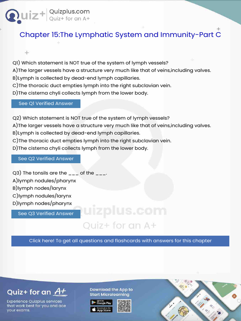 Which Statement is Not True of the System of Lymph Vessels | PDF | Vein ...