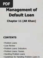 Loan Classification Overview and Guidelines | PDF | Loans | Banks