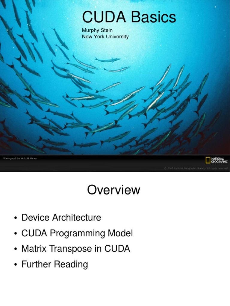 Cuda Many Cores | Download Free PDF | Thread (Computing) | Multi Core ...