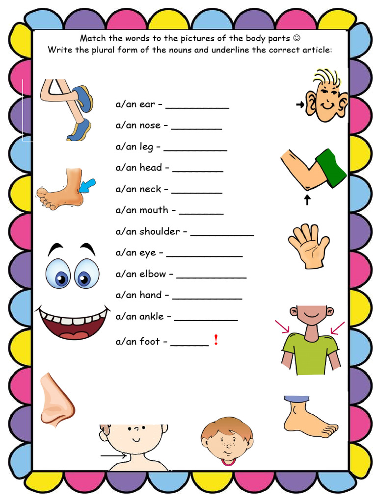 501964948 Plural Nouns Body Parts | PDF