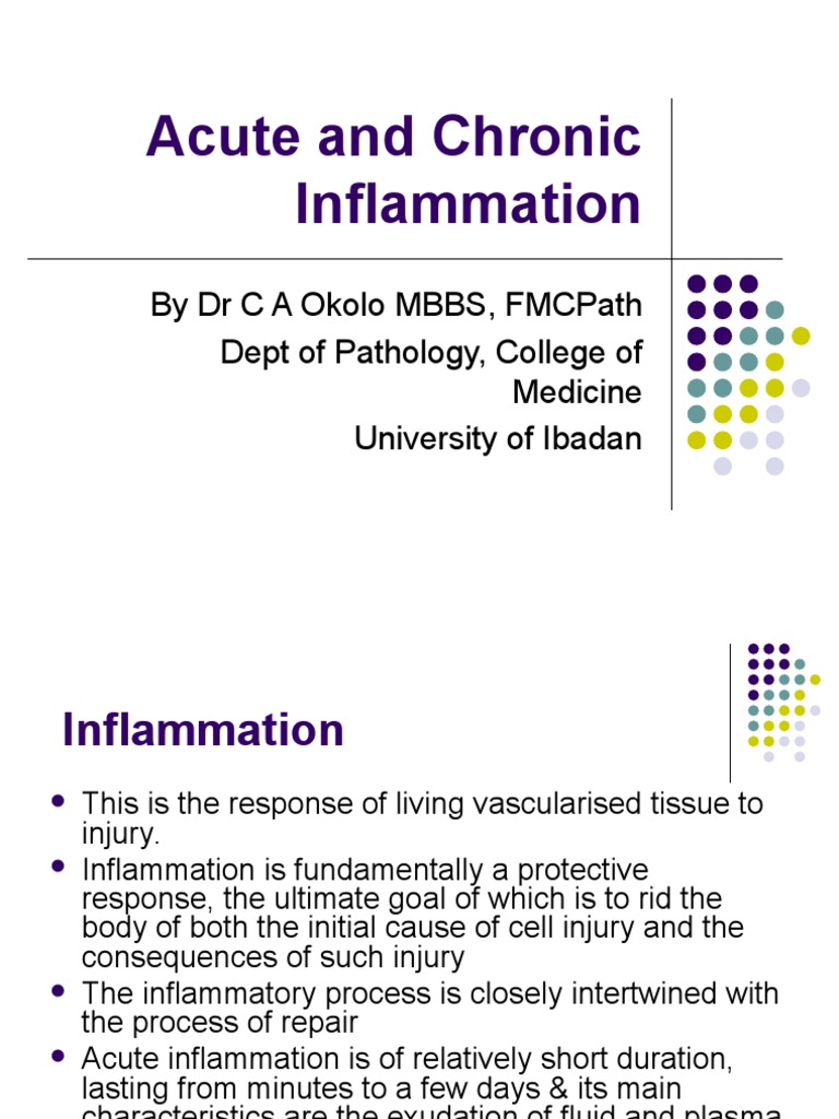 Inflammation: Acute vs Chronic Overview | PDF | Inflammation | Macrophage
