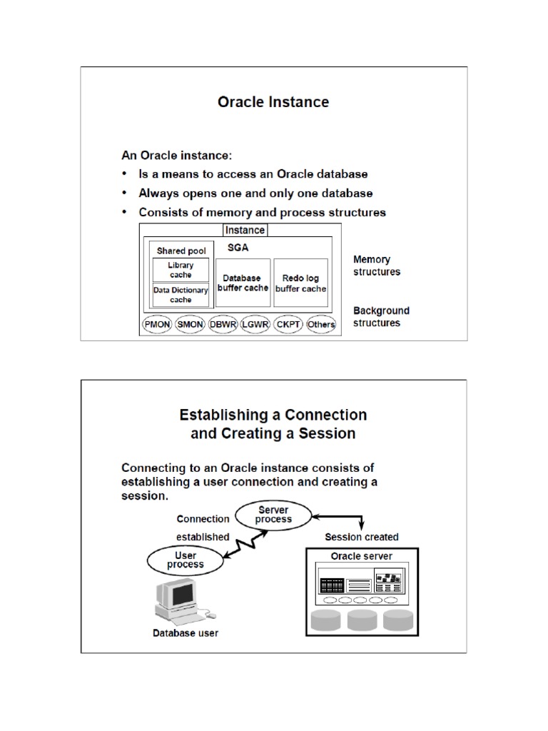 Oracle Instance Basic Manual | PDF | Oracle Database | Databases