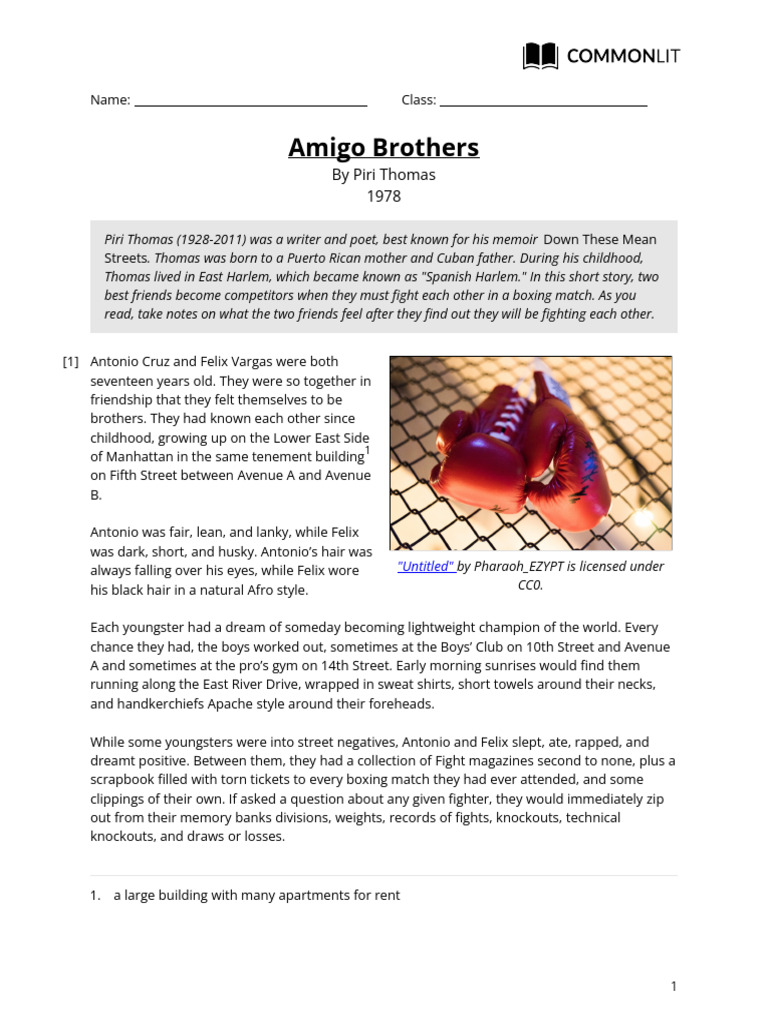 Amigo Brothers | PDF