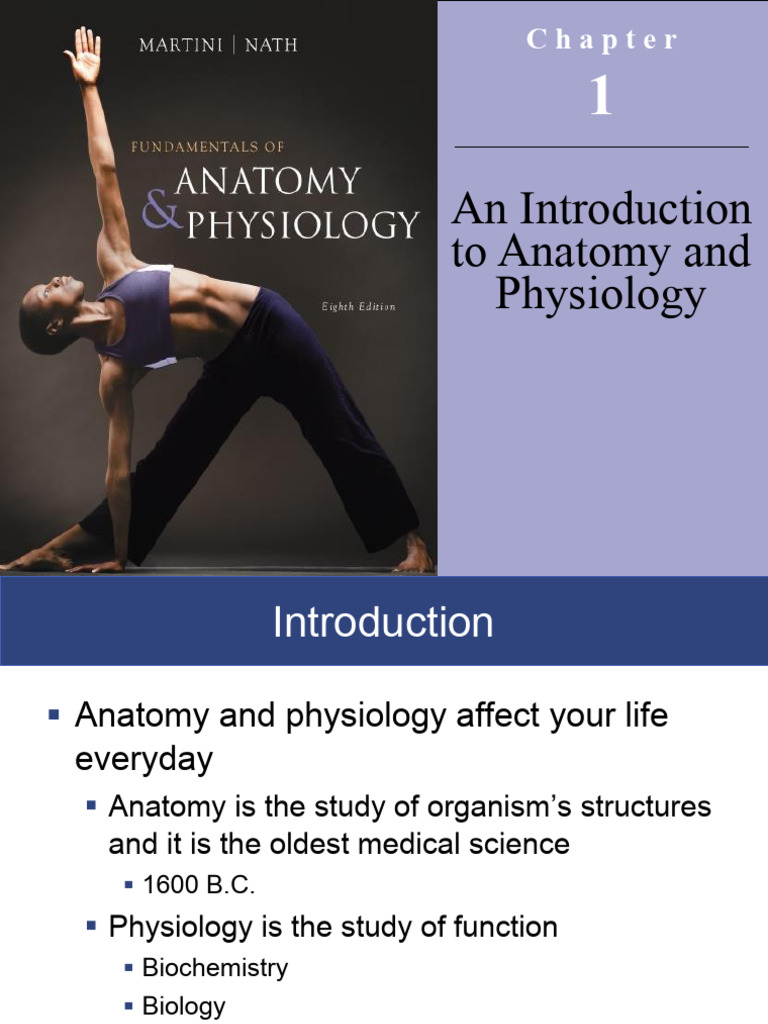 Lecture 1-Introduction to Anatomy and Physiology | PDF | Human Body ...