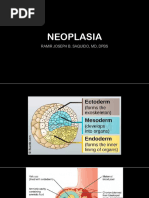 Endophytic vs Exophytic Tumors Explained | PDF