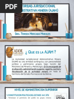 Qué es AJAM en Bolivia | PDF