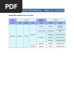 Generalidades de Esporozoarios | PDF | Anatomía | Biología