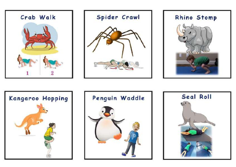 Animal Movements | PDF
