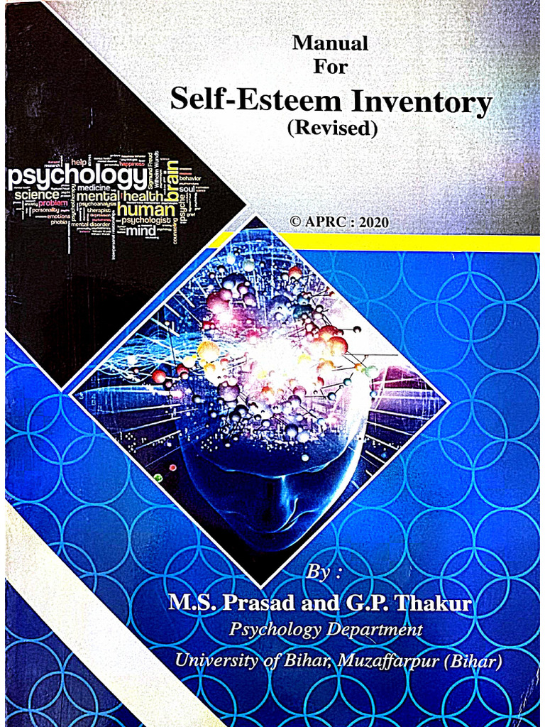 Manual Self Esteem Inventory | PDF