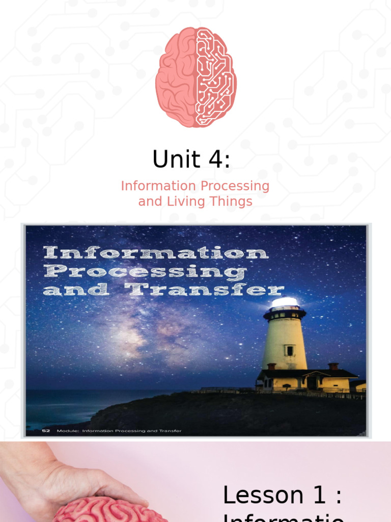 Unit 4. Module 2.Lesson 1 | PDF