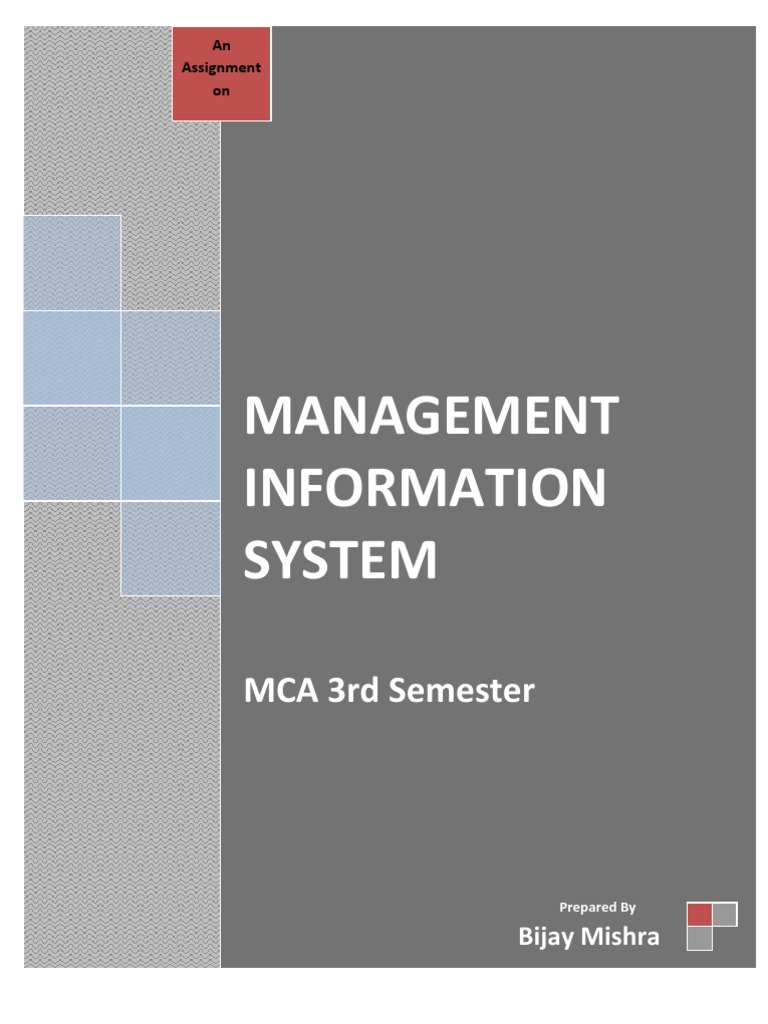 MIS Assignment | PDF | Supply Chain Management | Computer Network