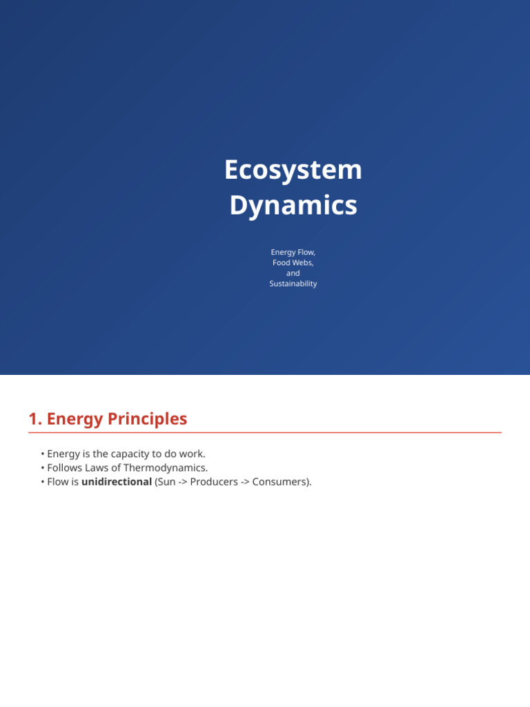 Ecosystem Dynamics 10 Slides | PDF