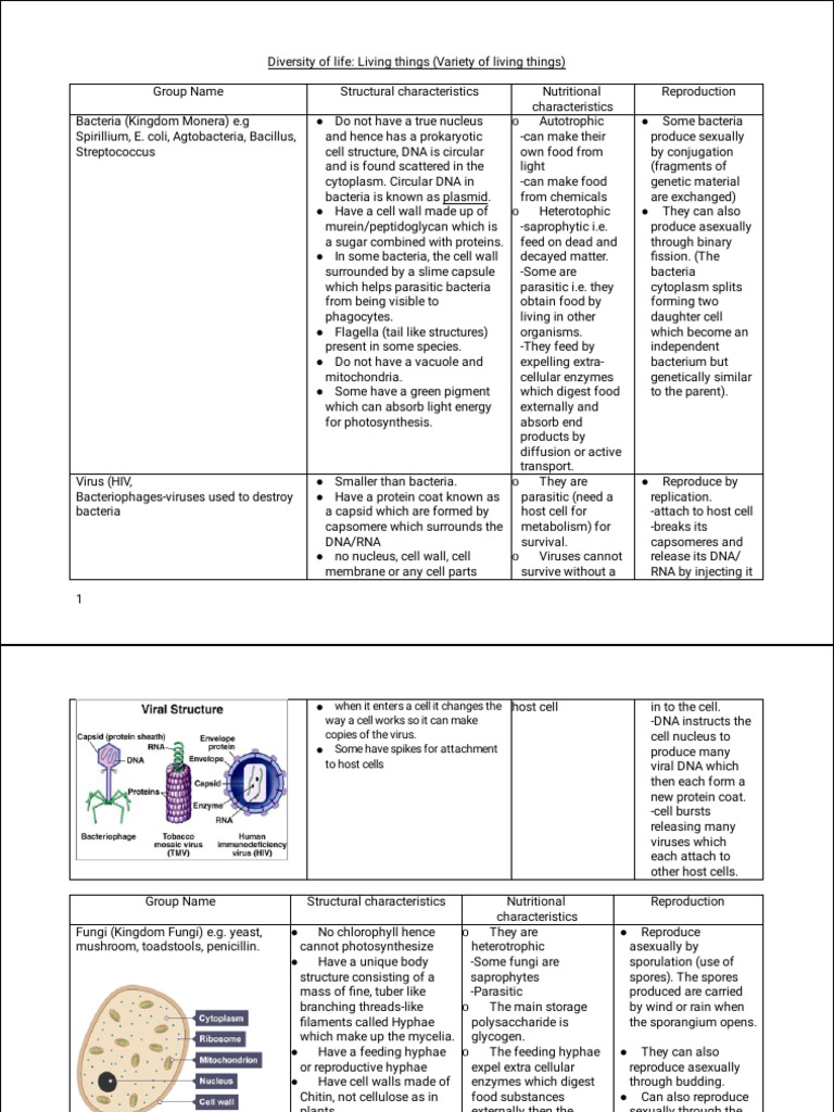 Diversity of Living Things | PDF | Cell (Biology) | Bacteria