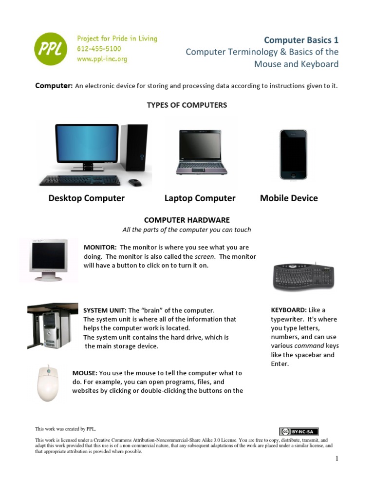 Computer Basics 1 NSDL Student 2012 | PDF | Computer Keyboard | Icon (Computing)