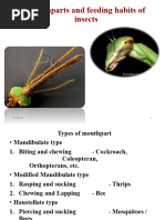 Biting and Chewing Insect Mouthparts | PDF | Insects | Arthropods