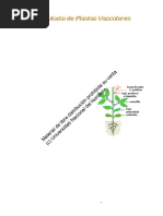 Estípulas: Estructuras y Funciones | PDF | Hoja | Plantas